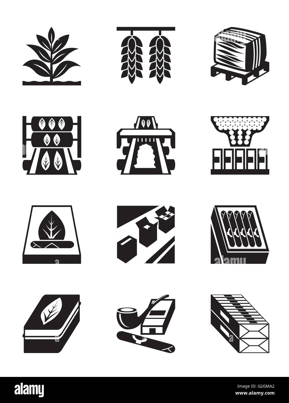 Production of tobacco, cigarettes and cigars - vector illustration ...