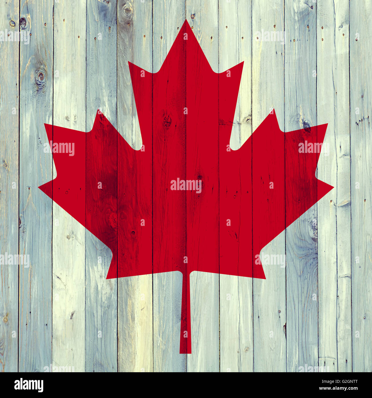 Maple tree canada flag hi-res stock photography and images - Alamy