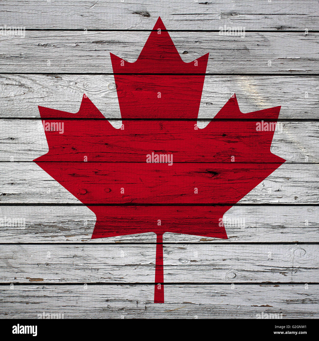 Maple tree canada flag hi-res stock photography and images - Alamy