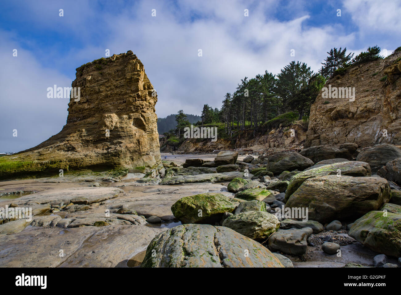 Tidal areas off the Oregon coast showing stretches of seaweed and tide ...