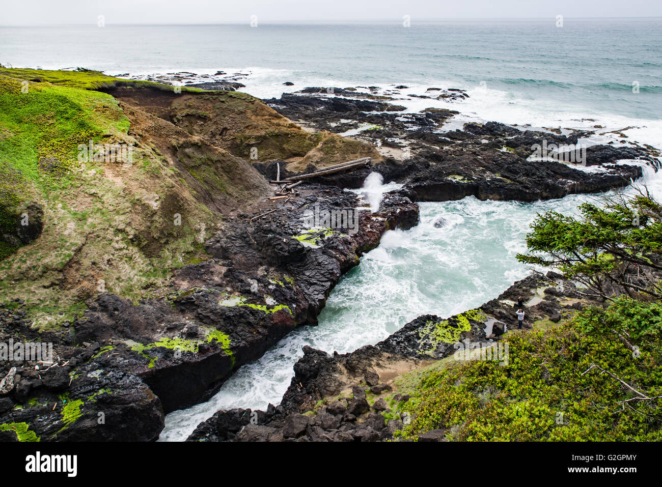 Tidal areas off the Oregon coast showing stretches of seaweed and tide ...