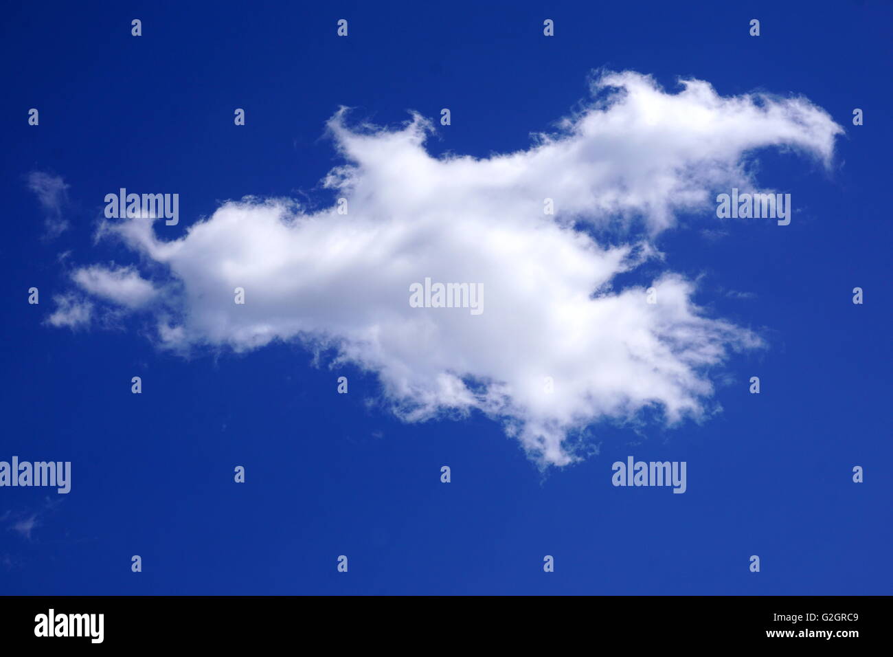 Flying bat blue sky hi-res stock photography and images - Alamy