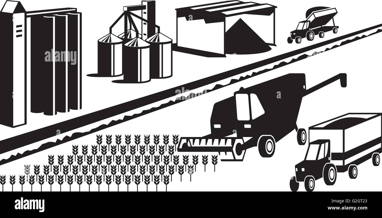 Harvesting and storage of grain cereals - vector illustration Stock ...