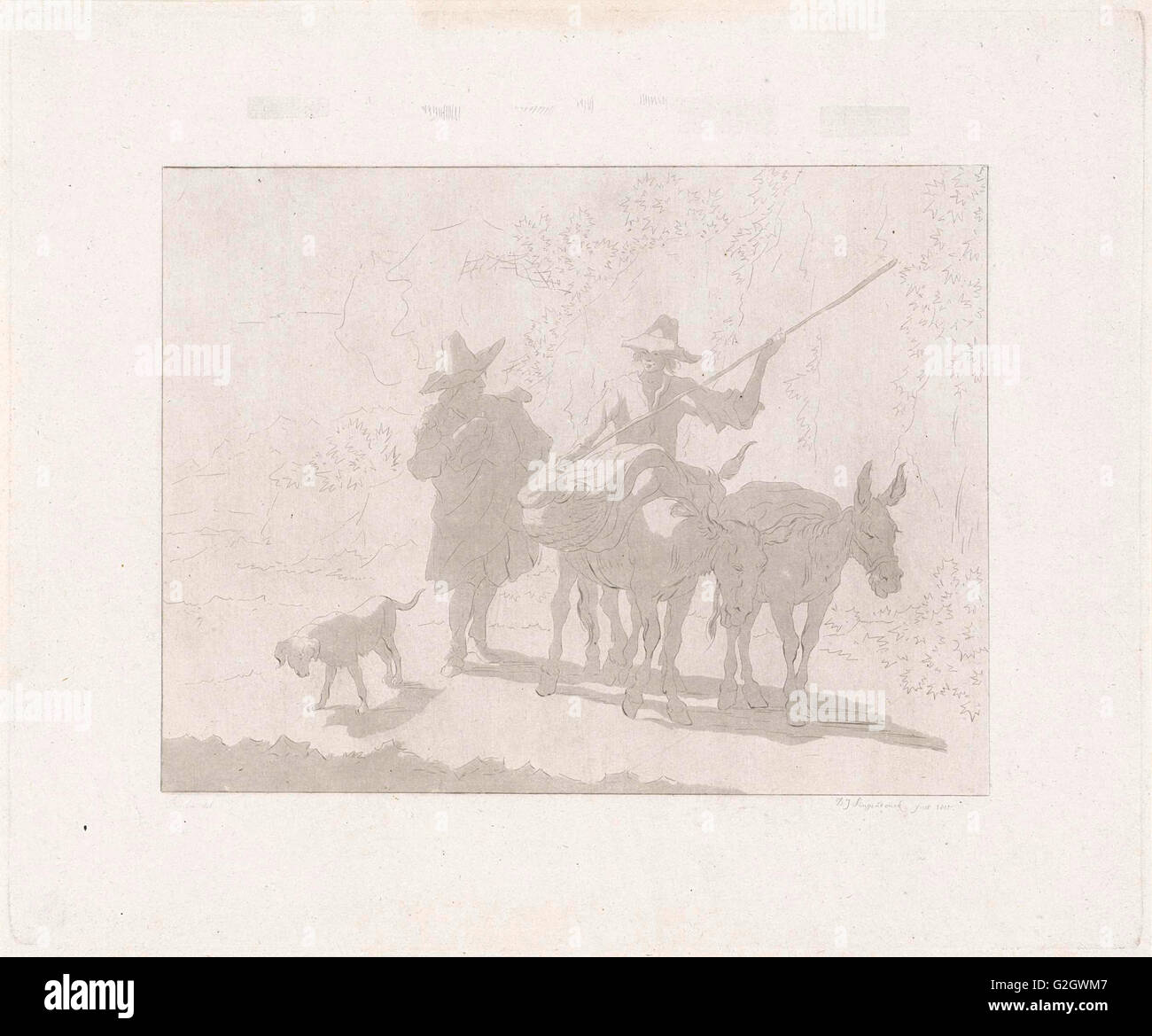 Two mule drivers hi-res stock photography and images - Alamy