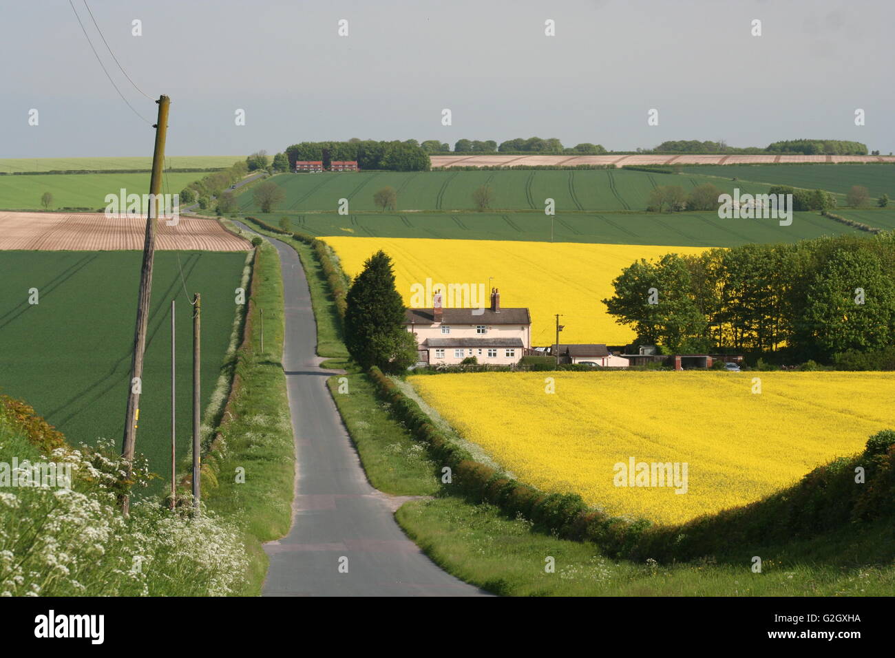 Wetwang, east yorkshire hi-res stock photography and images - Alamy