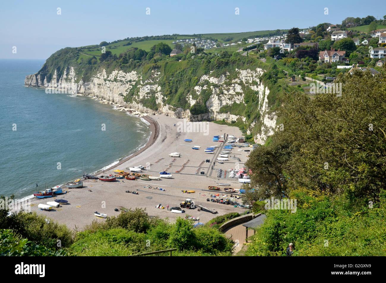 The beach at Beer in Devon on the English south west coast, with Beer ...