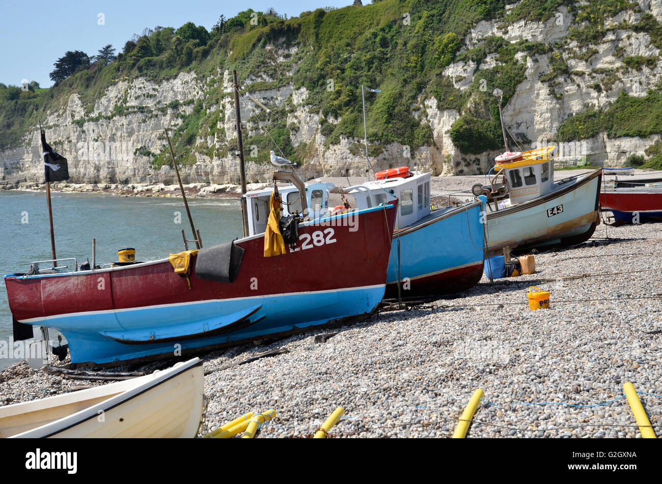 Fishing boats on the beach at Beer in Devon Stock Photo - Alamy