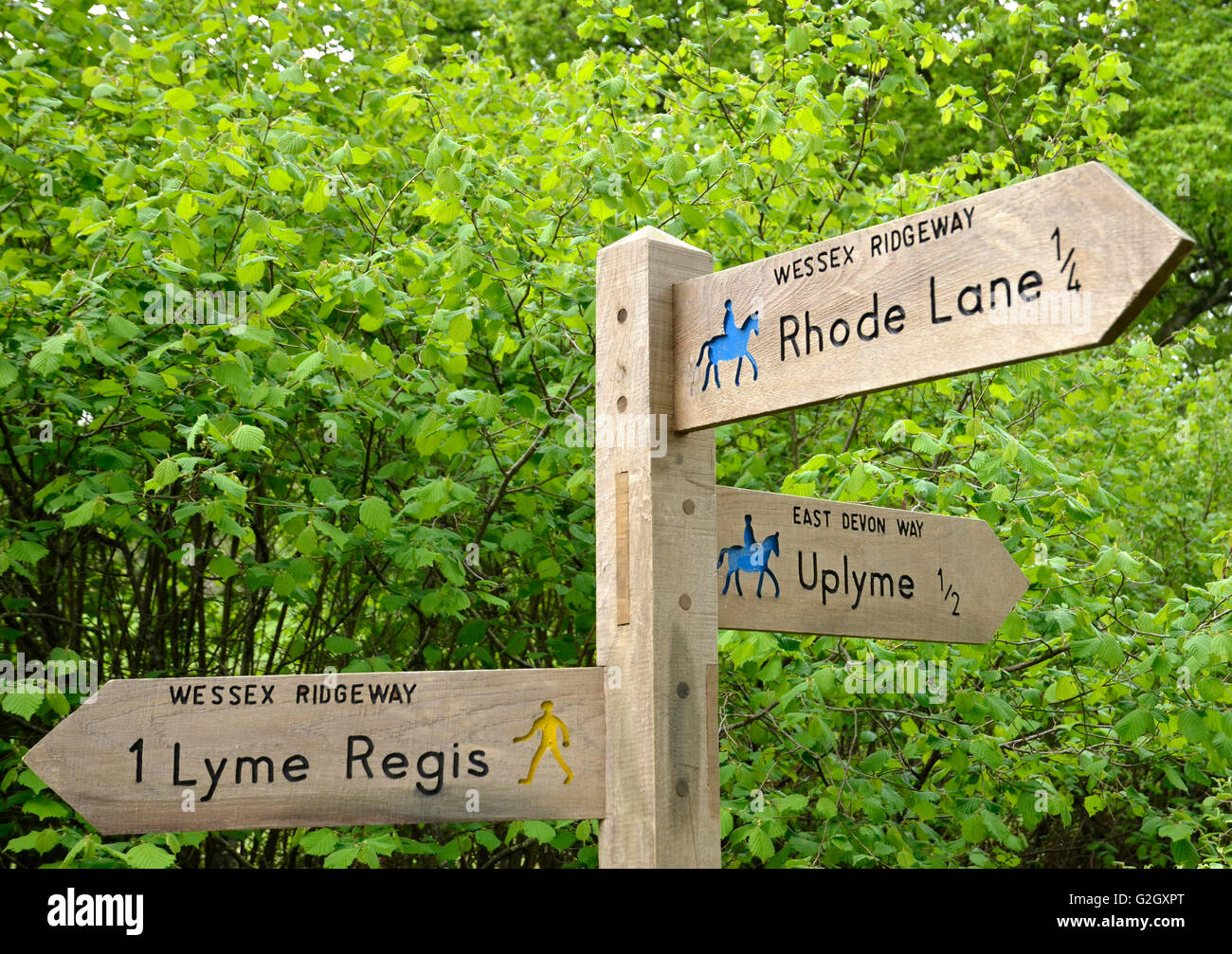 On the devon dorset border hi-res stock photography and images - Alamy