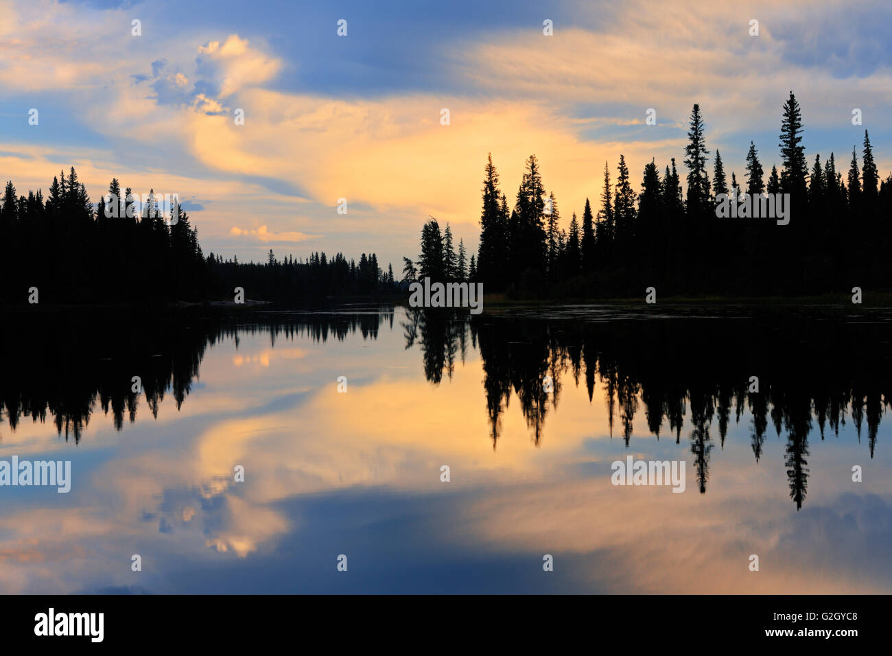 Boreal forest reflected in Grass River Pisew Falls Provincial Park ...