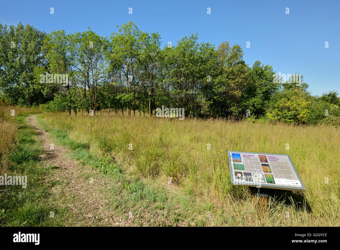 Tall Grass Prairie st Henteleff Park (Norman Park) Winnipeg Manitoba ...