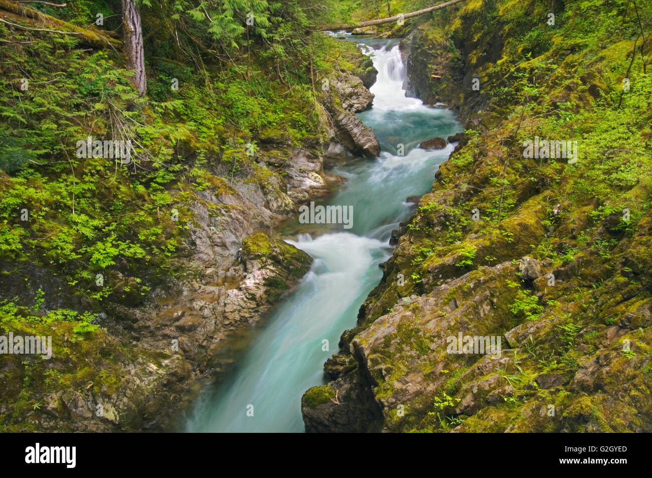 Waterfalls on the Little Qualicum River Little Qualicum Falls ...