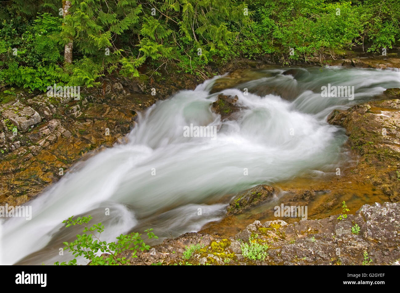 Little qualicum river falls provincial park hi-res stock photography ...