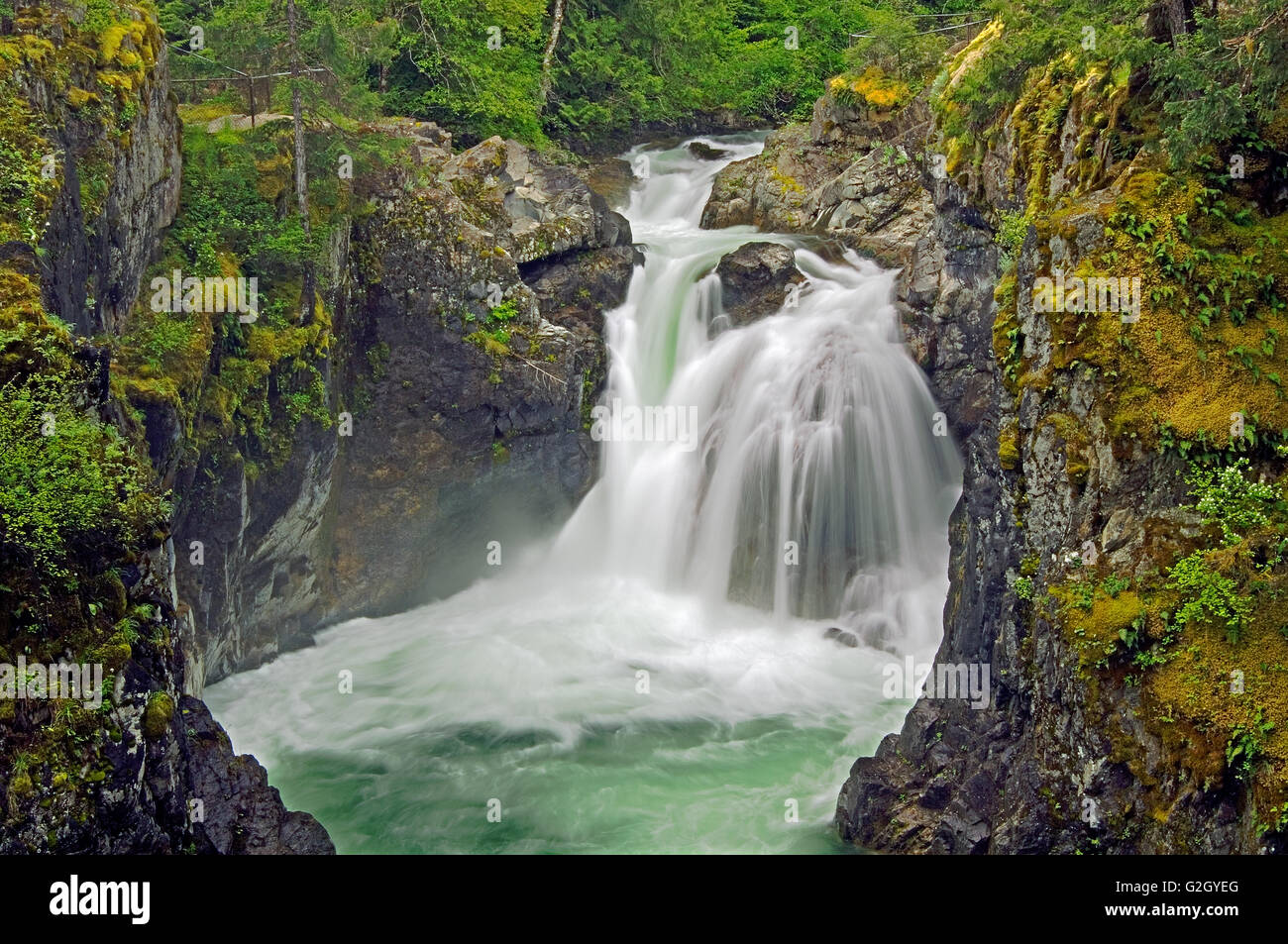 Waterfall on the Little Qualicum River Little Qualicum River Falls ...