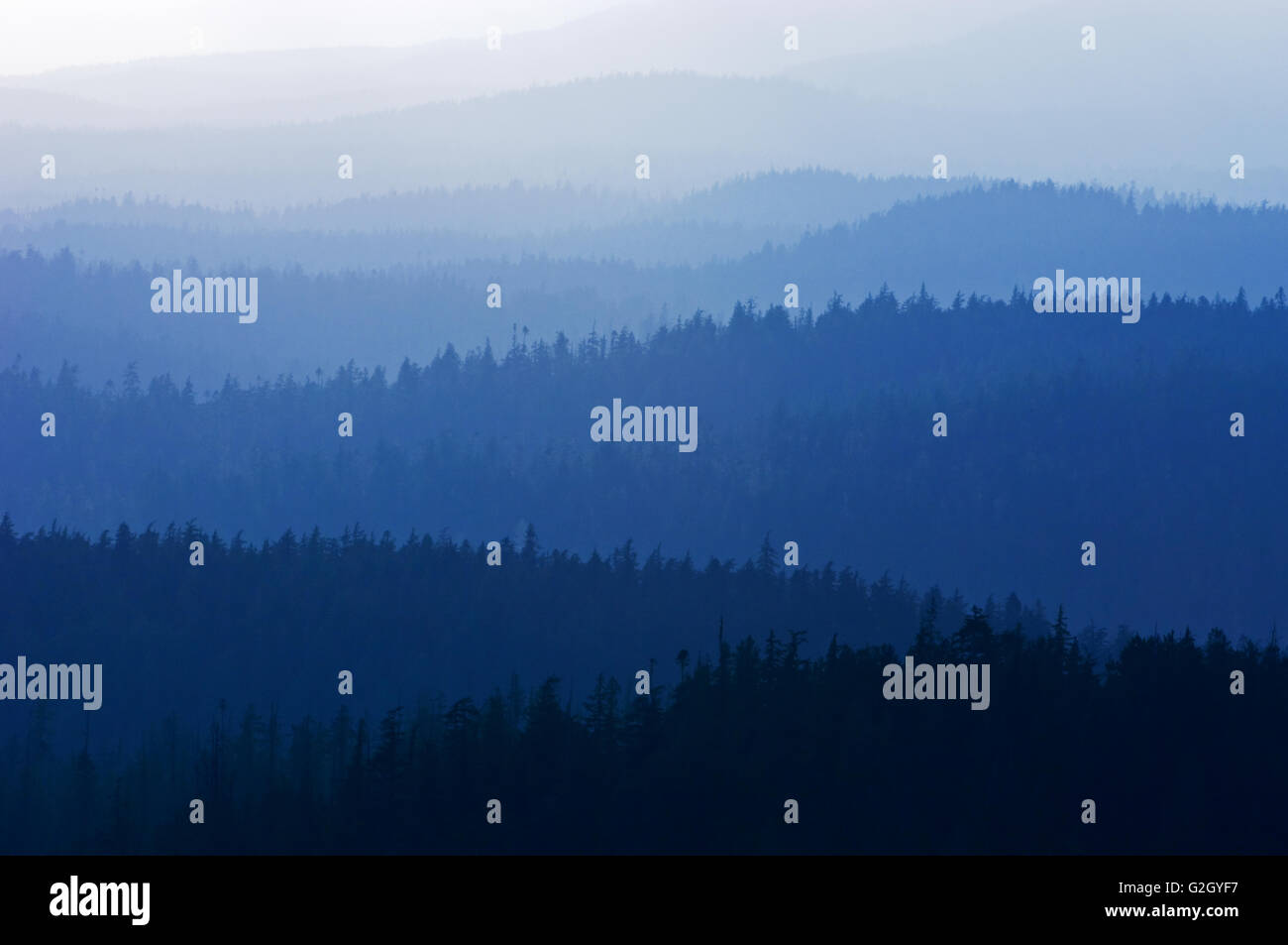 Temperate coastal rainforests hi-res stock photography and images - Alamy