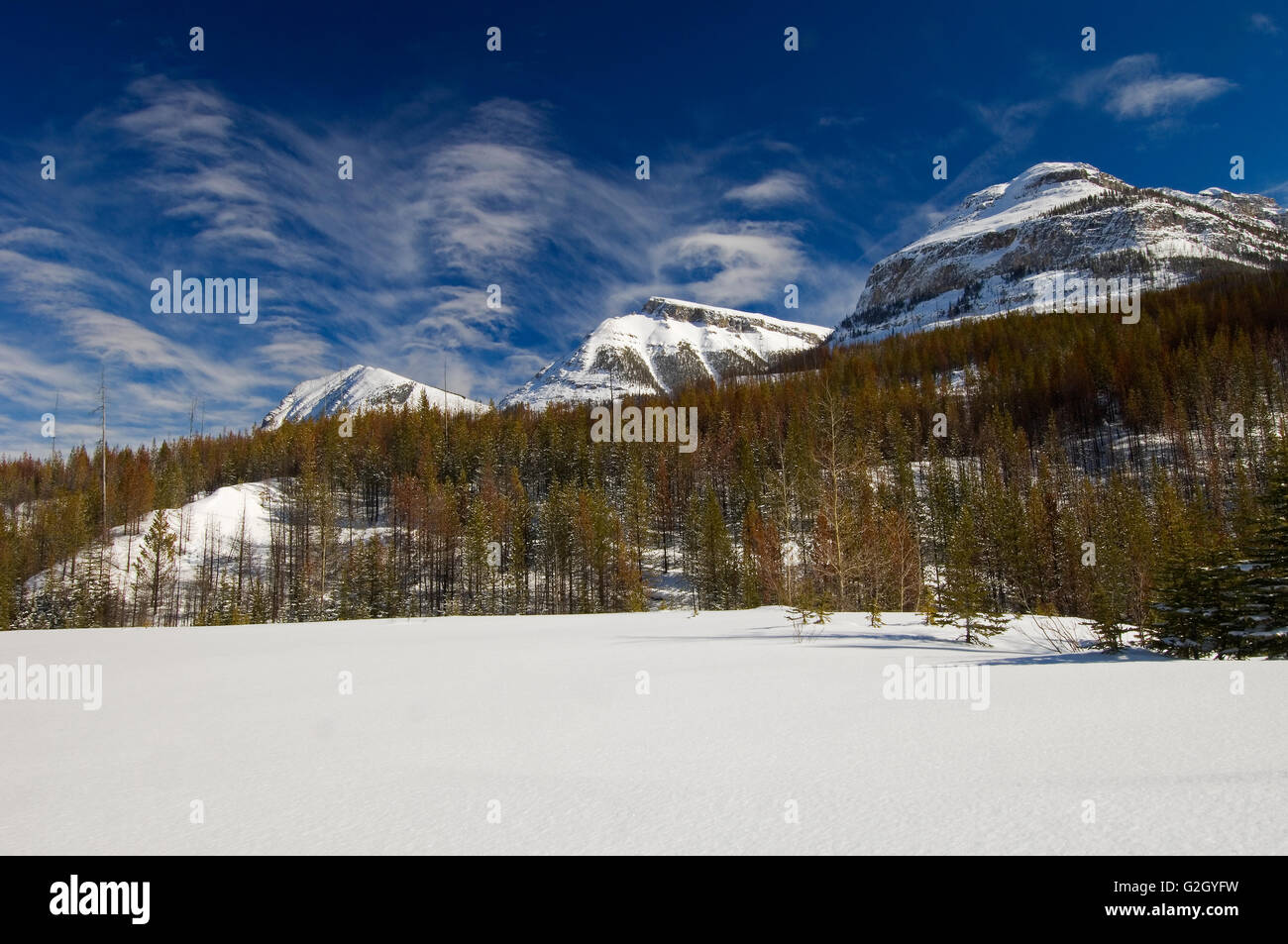 Near Vermilion Pass Continental Divide Storm Mountain ridge on Mt Ball ...