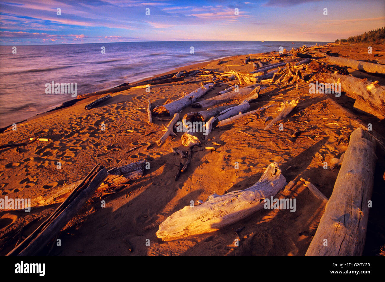 Driftwood on shore of Great Slave Lake at sunset Hay River Northwest ...