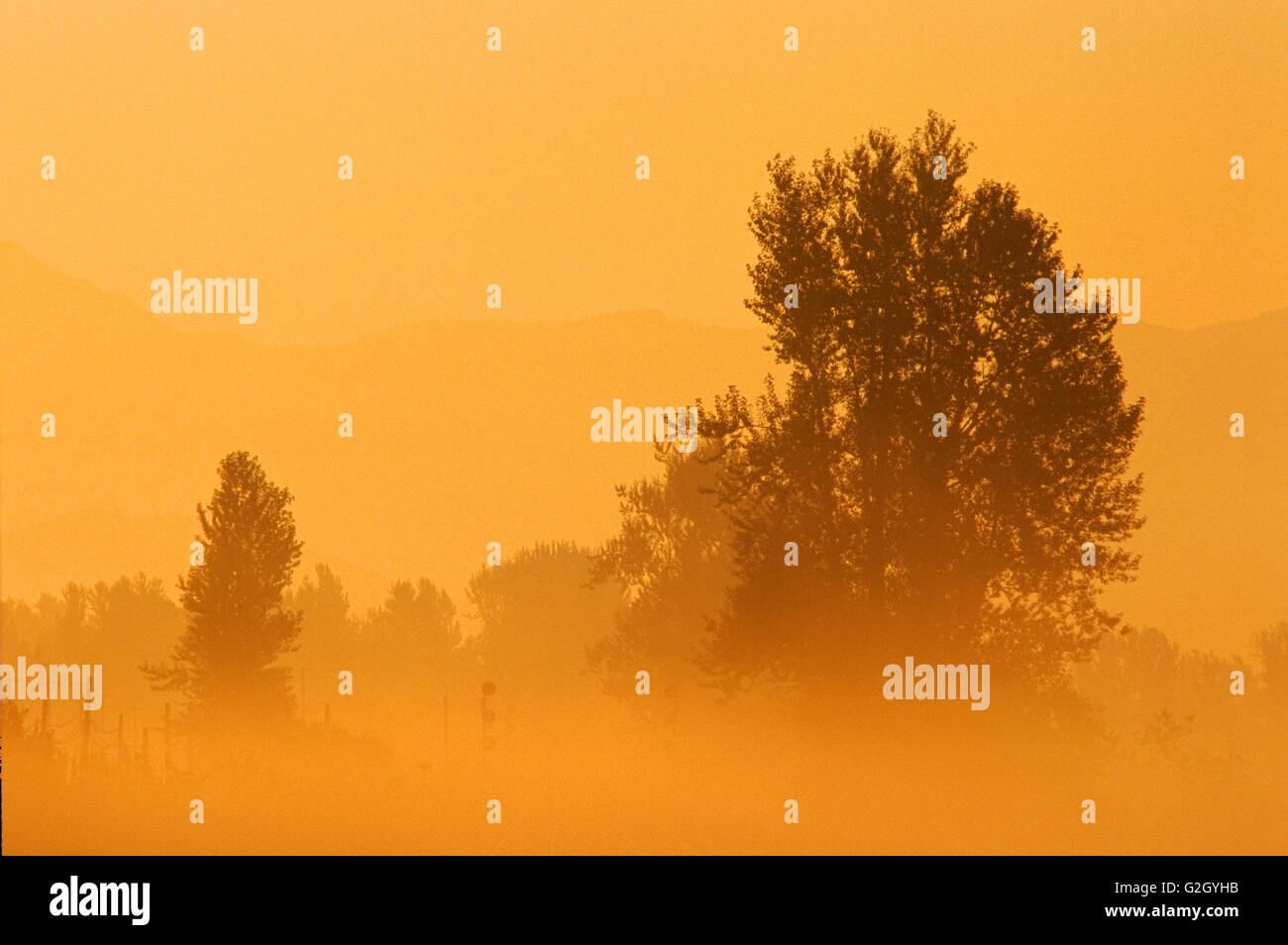 Sunrise near Hatzic lake Mission British Columbia Canada Stock Photo ...