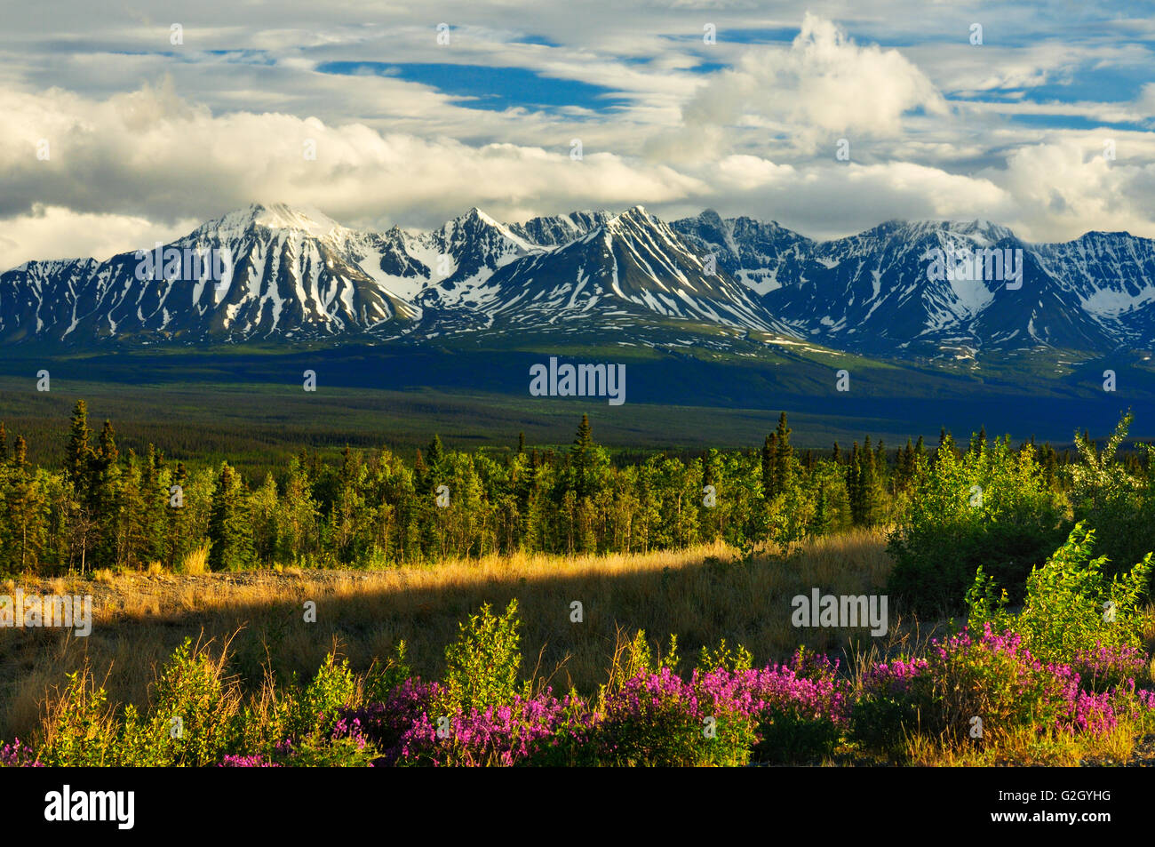 Pacific coast mountain ranges hi-res stock photography and images - Alamy