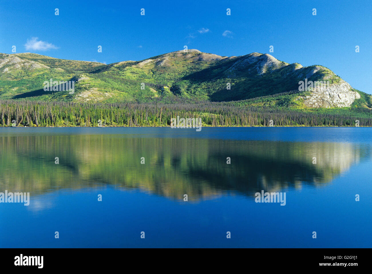 Ruby mountains hi-res stock photography and images - Alamy