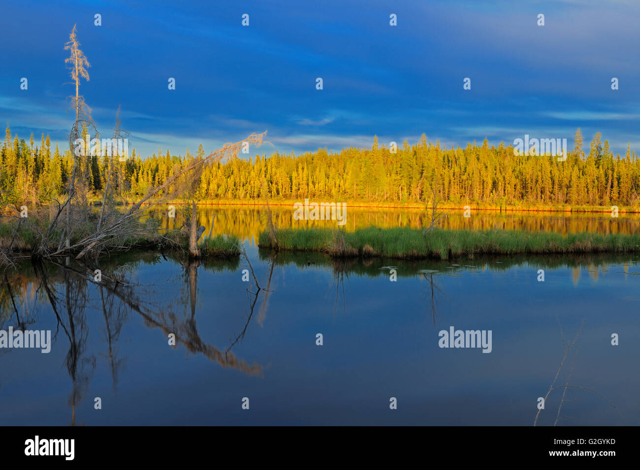 Yellowknife highway hi-res stock photography and images - Alamy