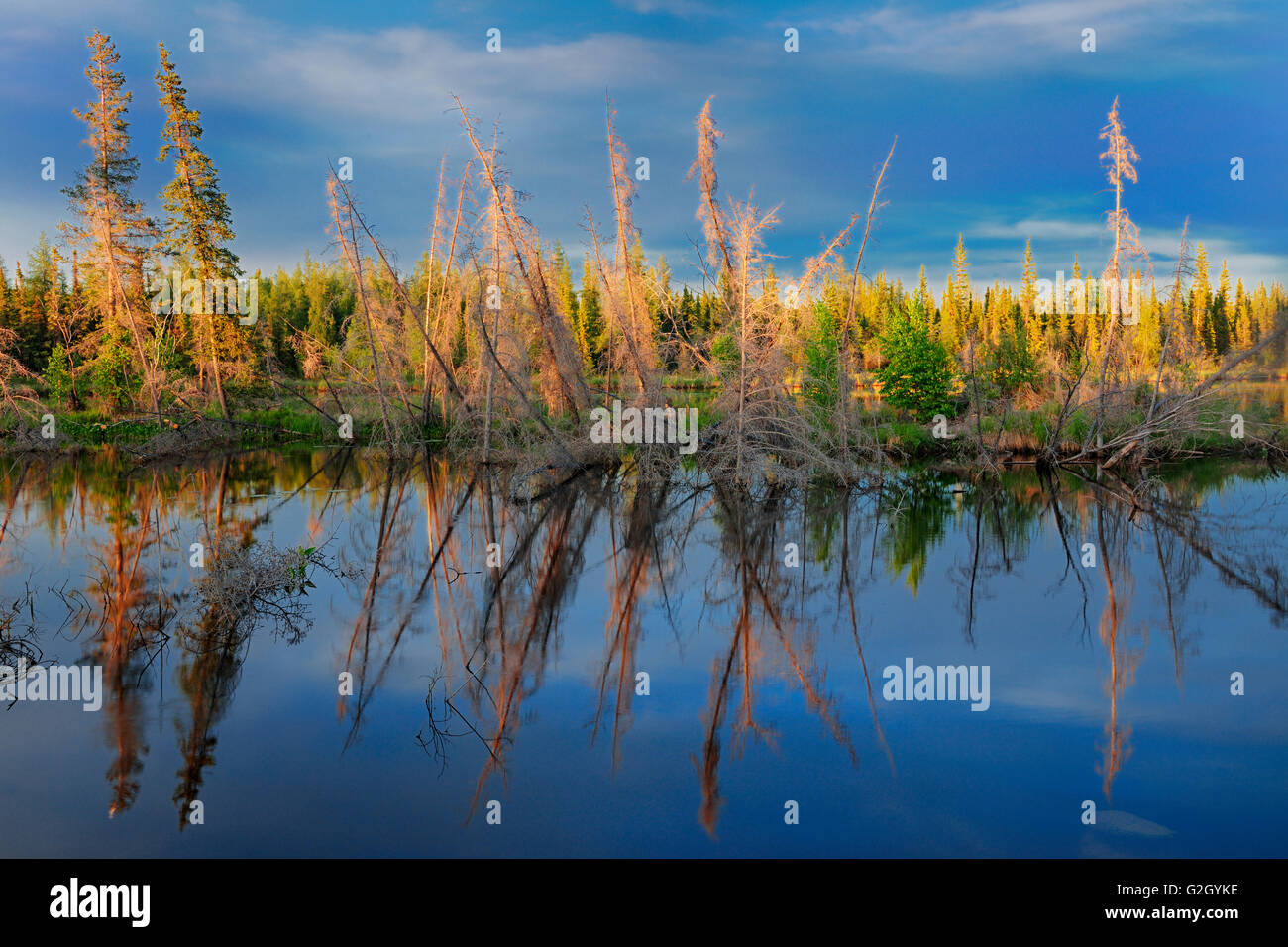 Yellowknife highway canada hi-res stock photography and images - Alamy