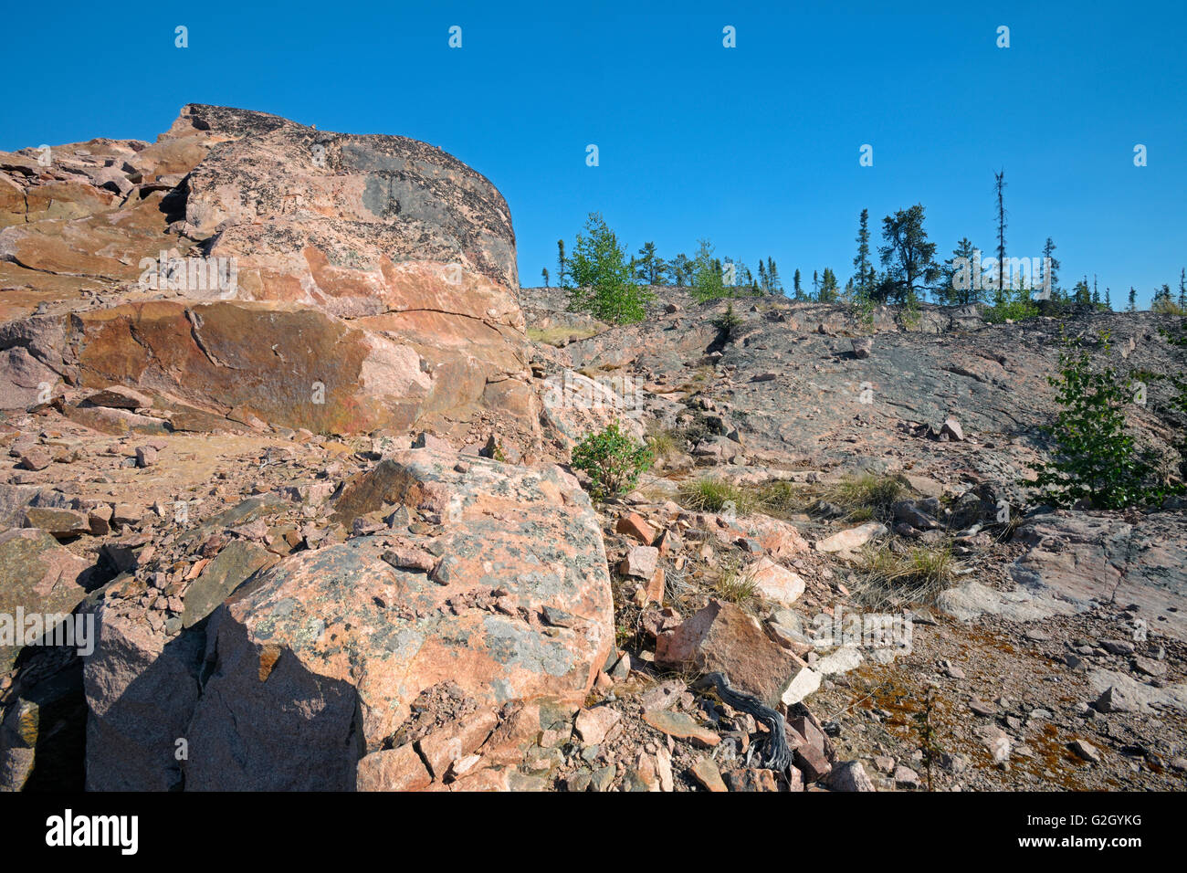 Boreal forest and preCambrian Shield Yellowknife Highway Northwest ...