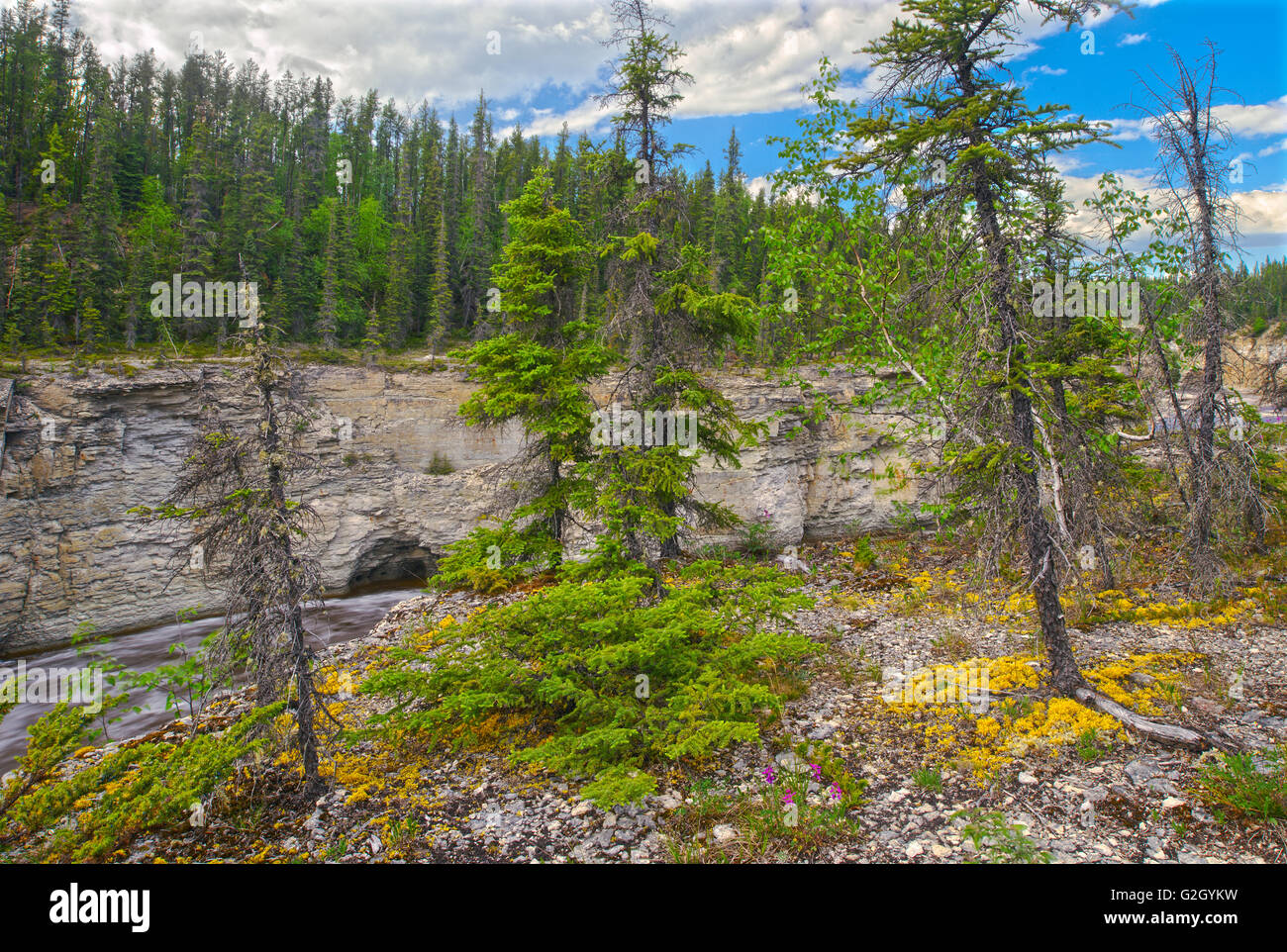 Trout River at Samdaa Deh Falls (Mackenzie Highway) Samdaa Deh Falls ...