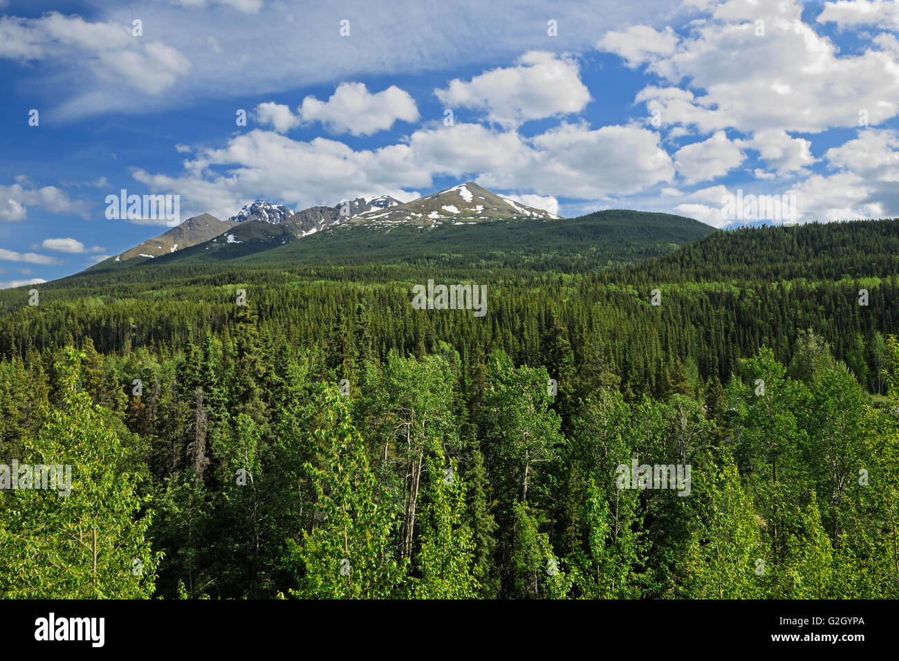 Cassiar mountains hi-res stock photography and images - Alamy