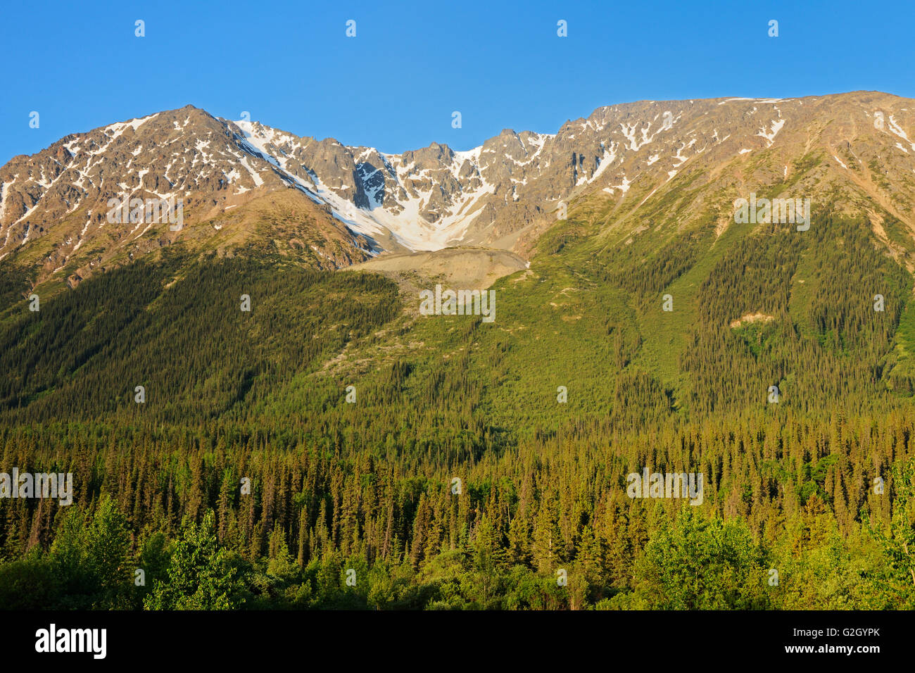 Iskut bc hi-res stock photography and images - Alamy