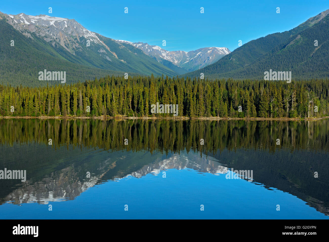 Coast mountains and eddontenajon lake hi-res stock photography and ...