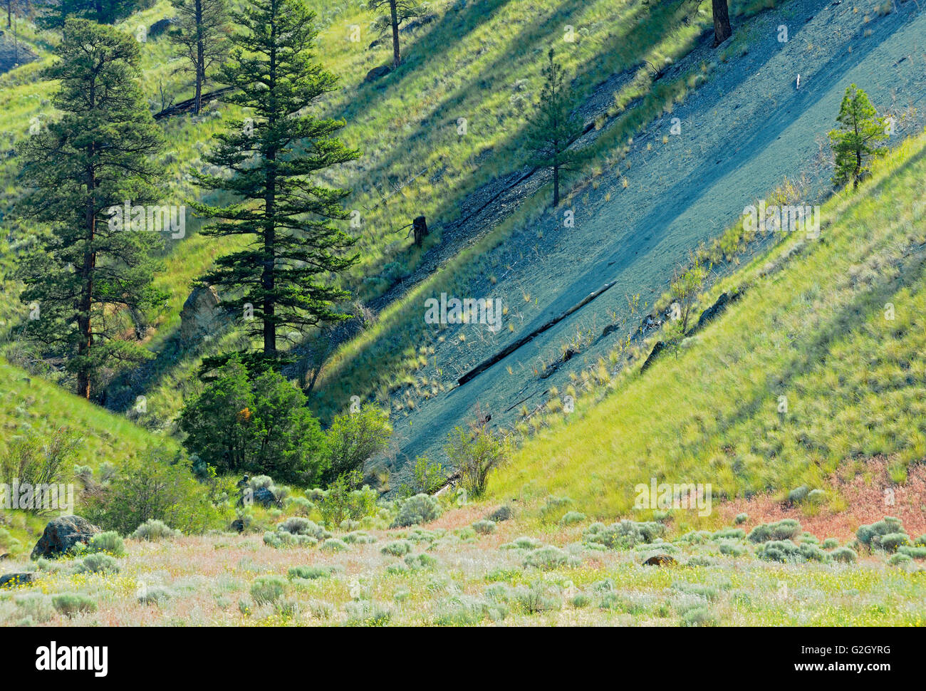 British columbia interior hi-res stock photography and images - Alamy