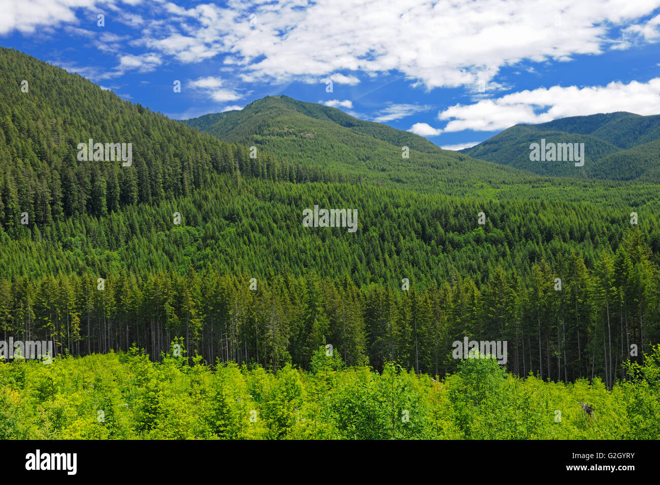 Vancouver island mountains hi-res stock photography and images - Alamy