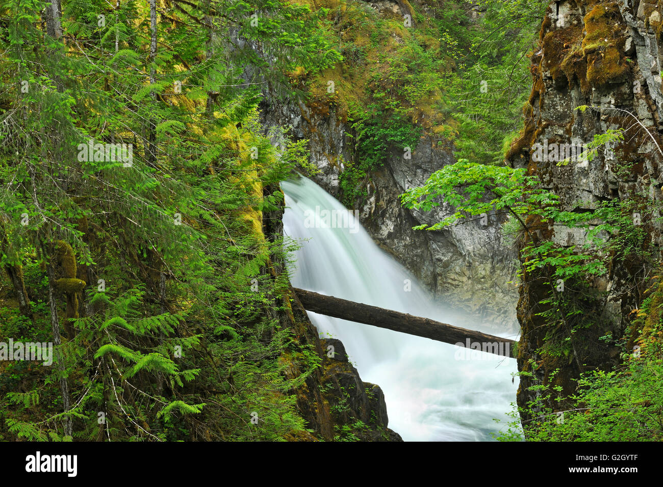 Waterfall on the Little Qualicum River Little Qualicum River Falls ...