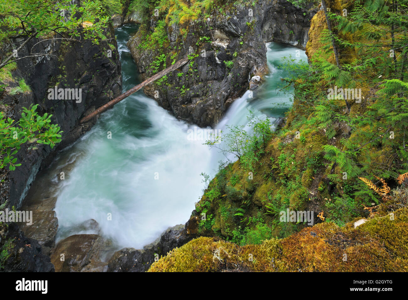 Waterfall on the Little Qualicum River Little Qualicum River Falls ...