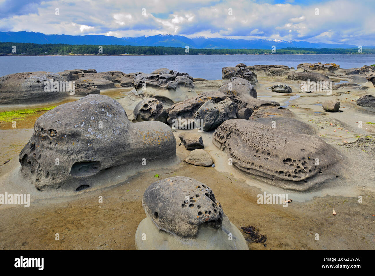 Rocky shoreline Hornby Island in the Gulf Islands British Columbia ...