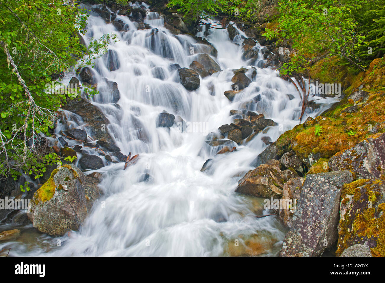 Waterfall Pemberton British Columbia Canada Stock Photo - Alamy