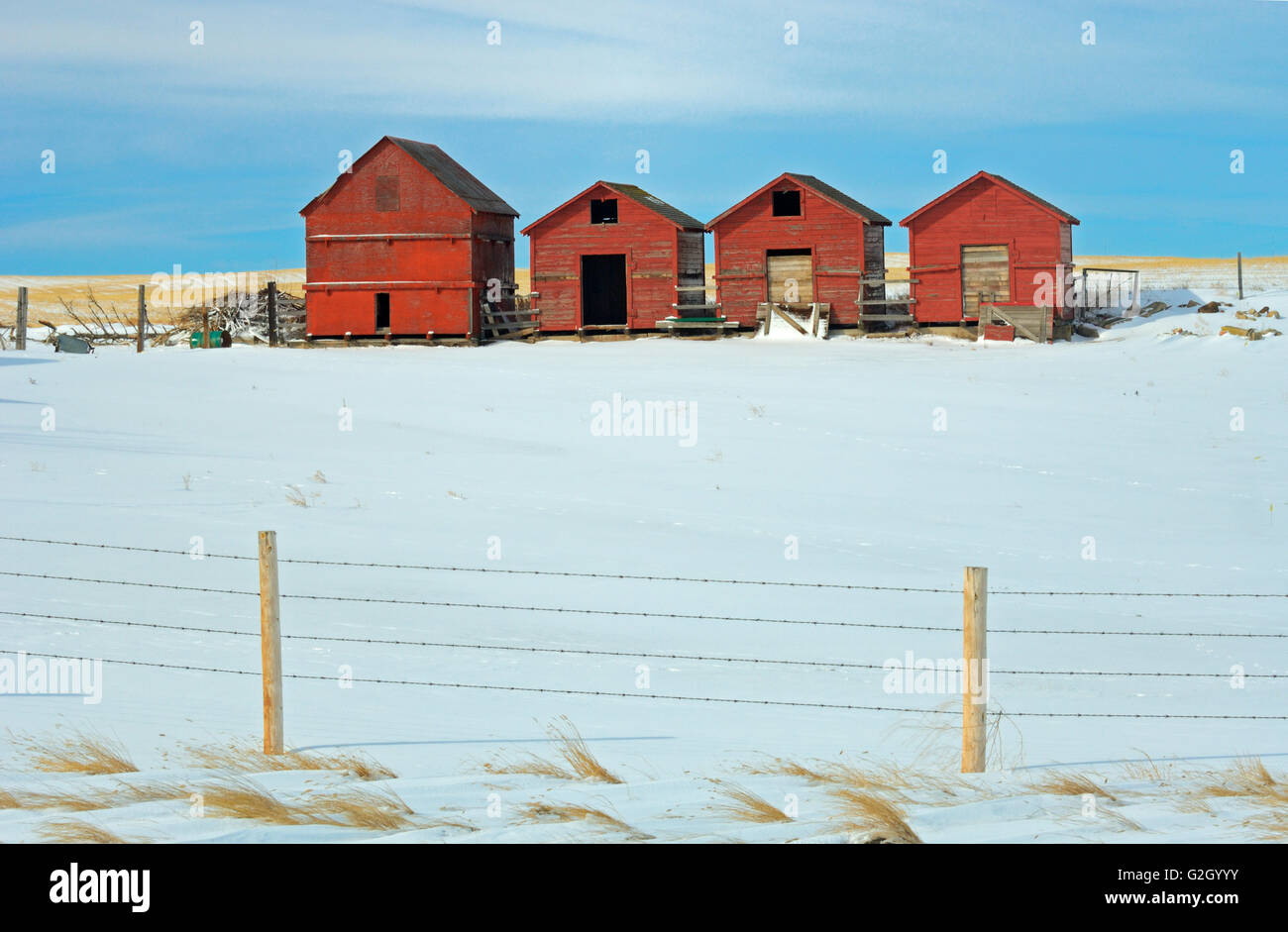 Canada prairie barn winter hi-res stock photography and images - Alamy