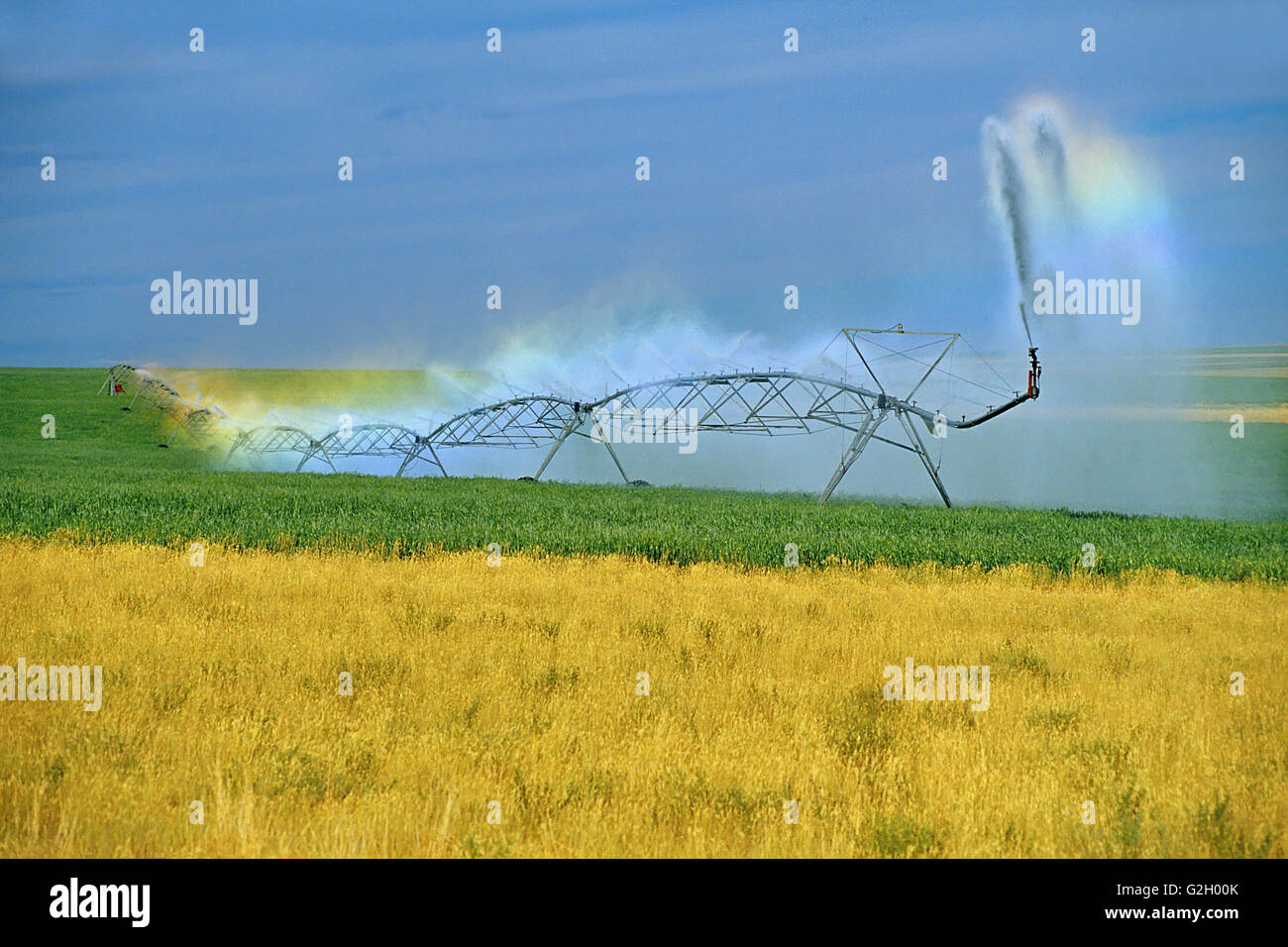 irrigating crop Monarch Alberta Canada Stock Photo - Alamy