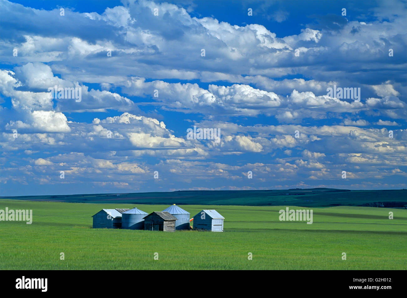 graineries and clouds THREE HILLS Alberta Canada Stock Photo - Alamy
