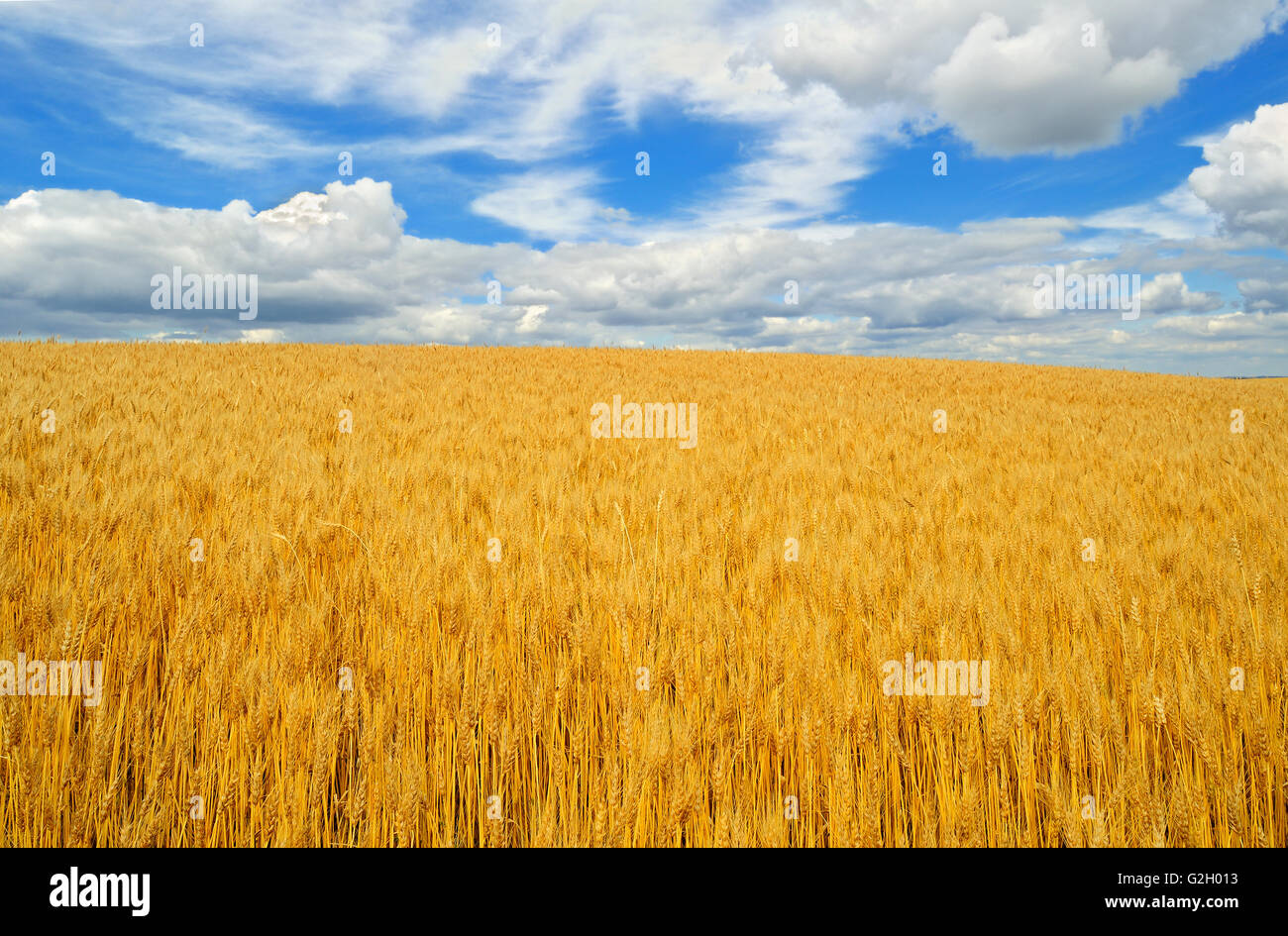 Delburne alberta hi-res stock photography and images - Alamy