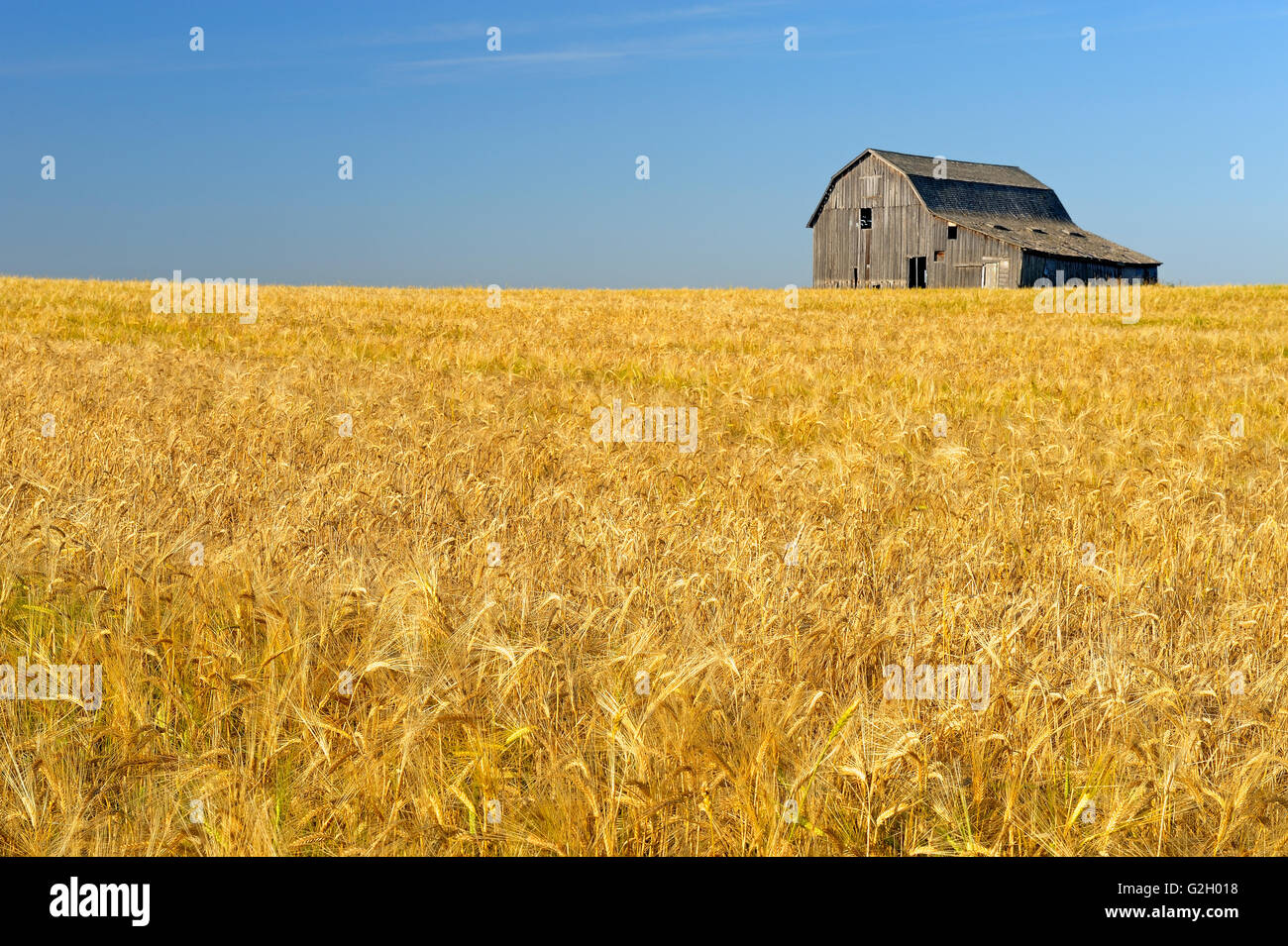 Barley barn hi-res stock photography and images - Alamy
