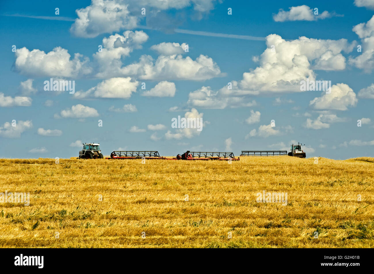 Swathing wheat hi-res stock photography and images - Alamy