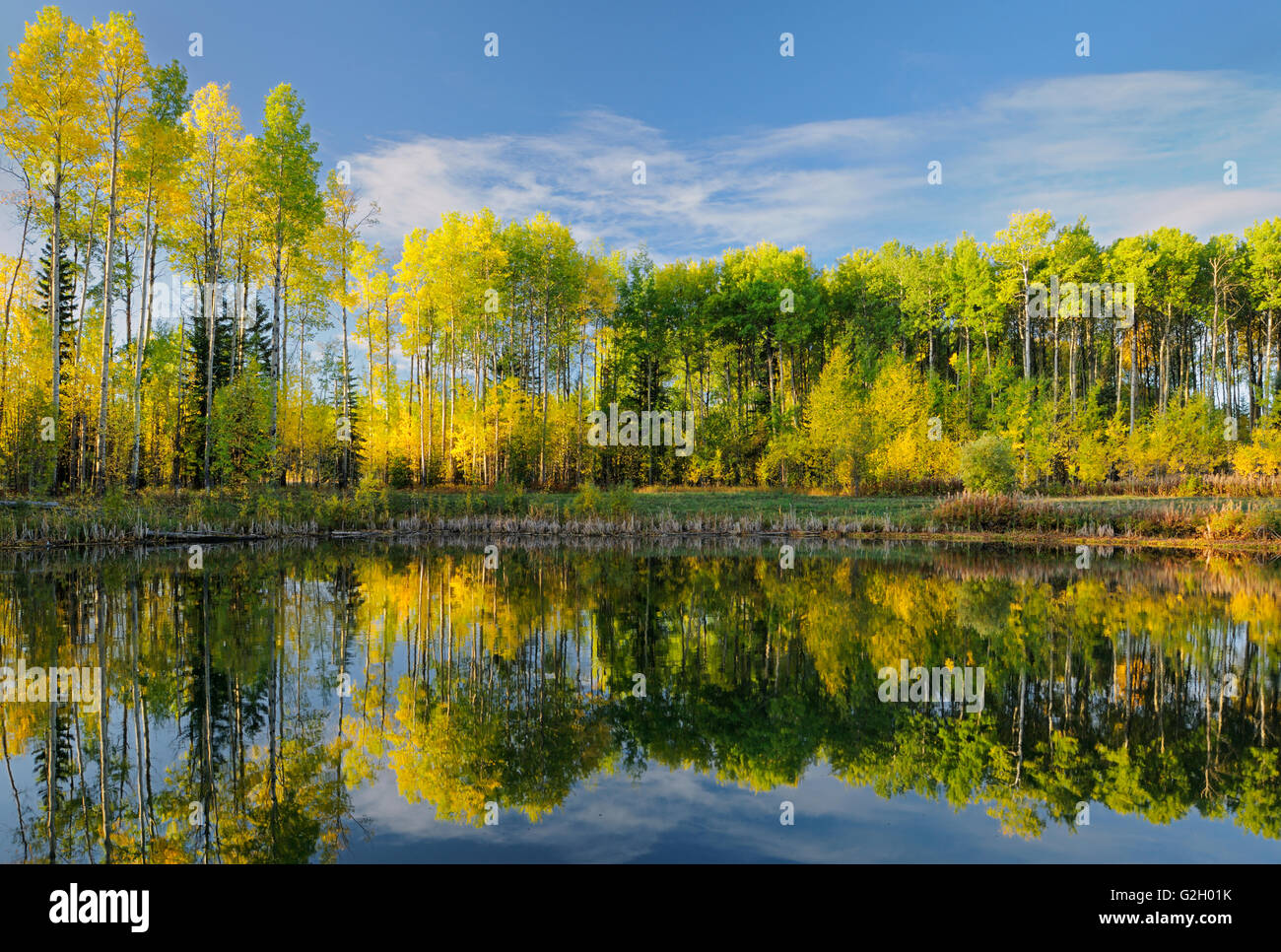Fox creek alberta hi-res stock photography and images - Alamy