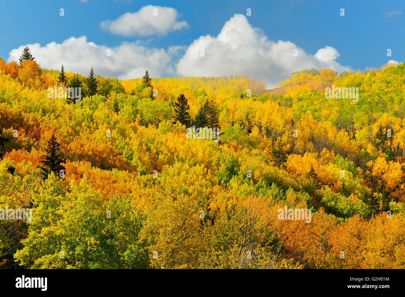 Fall in the prairie hi-res stock photography and images - Alamy
