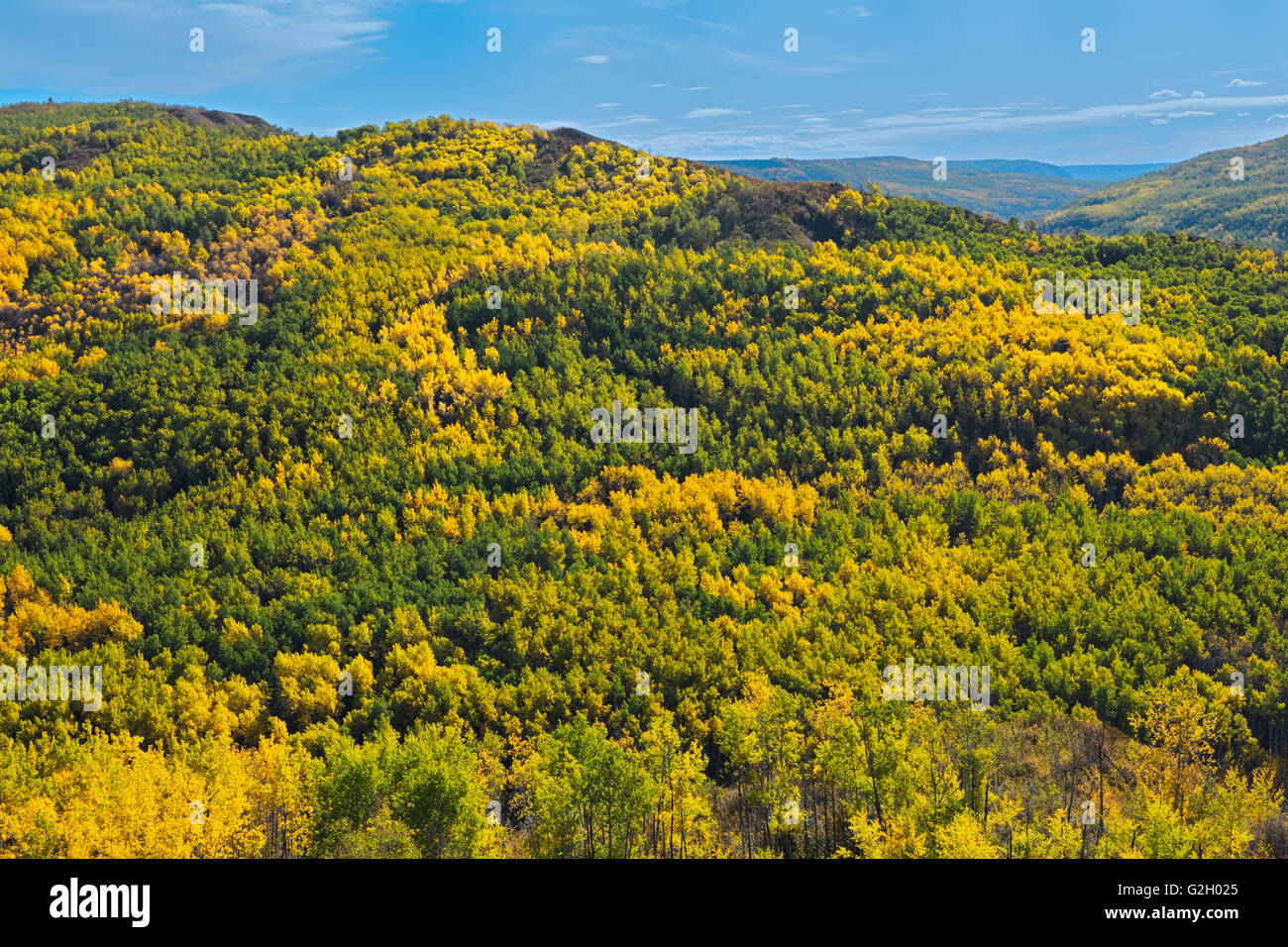 Colorful autumn foliage in hills Peace River Alberta Canada Stock Photo ...