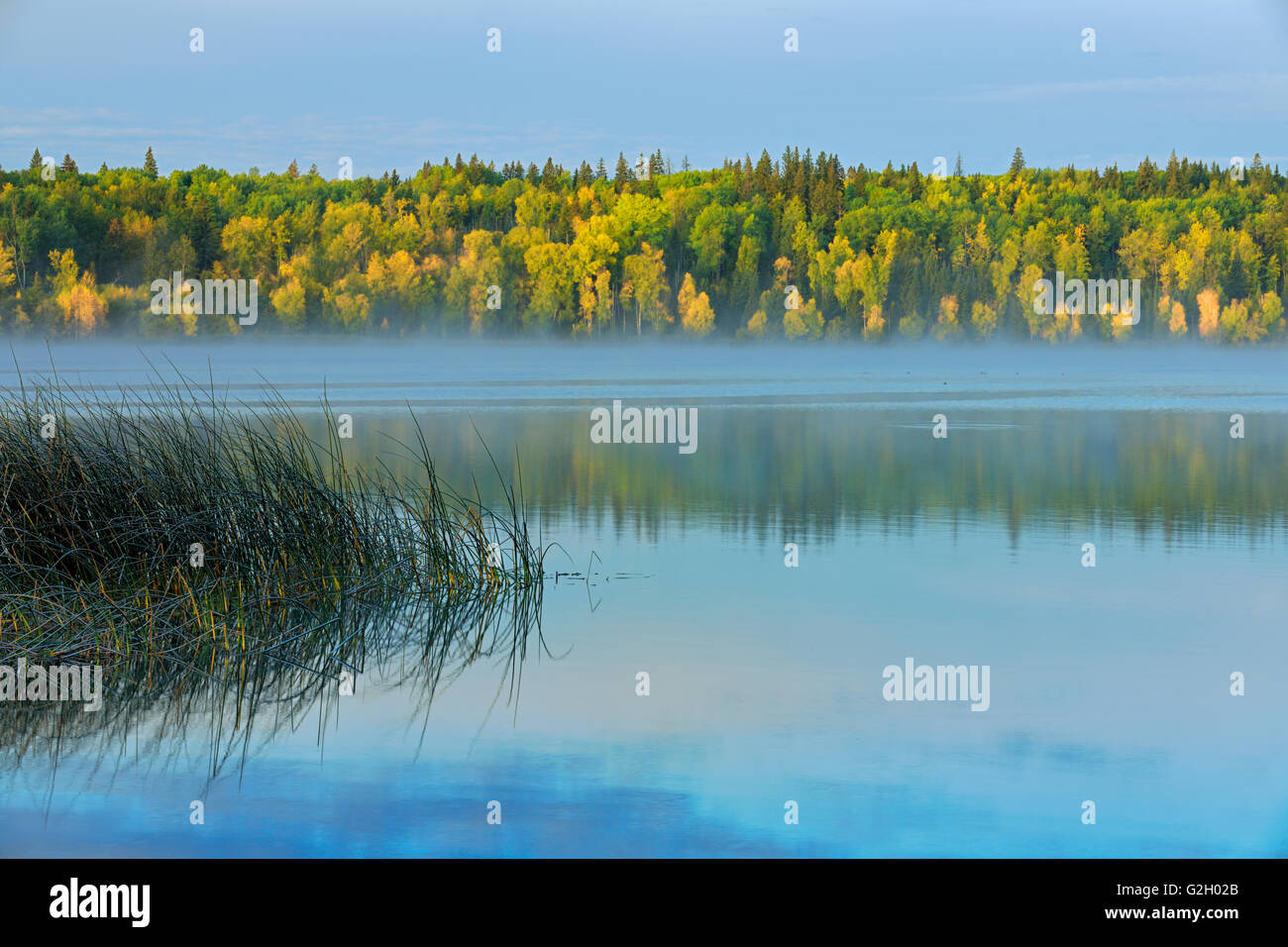 Lawrence Lake in autumn Lawrence Lake Provincial Park Alberta Canada ...
