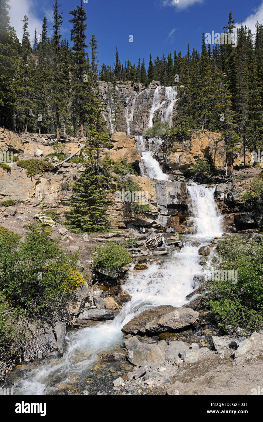 Tangle Falls Jasper National Park Alberta Canada Stock Photo - Alamy