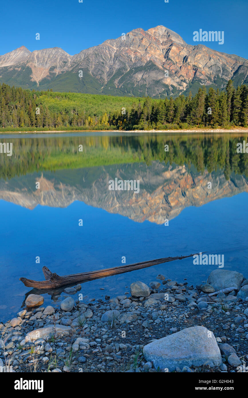 Patricia lake pyramid mountain jasper hi-res stock photography and ...