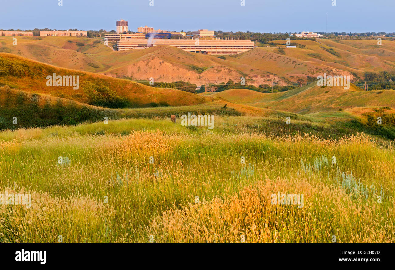 Coulee lethbridge hi-res stock photography and images - Alamy