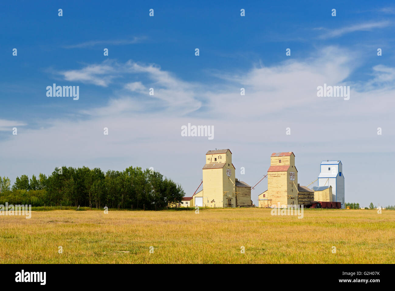 Old grain elevators on the Canadian Prairie Mossleigh Alberta Canada ...